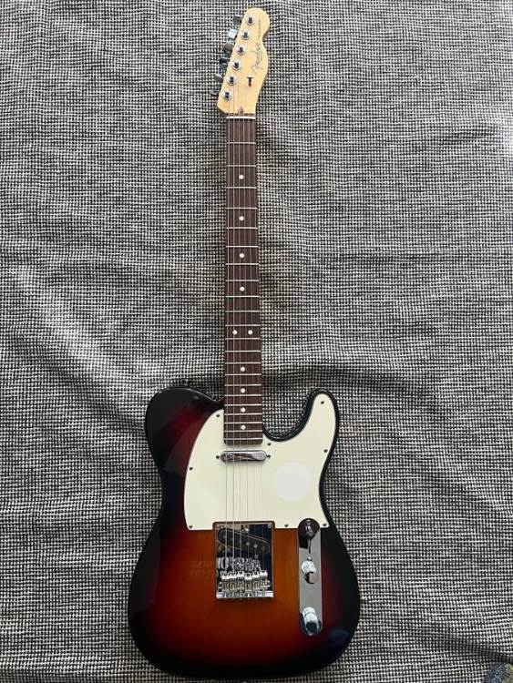 New Guitar Day. Tele. - Hamer Fan Club Messageboard - Hamer Fan Club ...