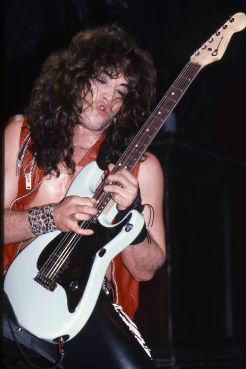 N(MIJ)GD: 1986(?) MIJ Fernandes ST-65JL - Hamer Fan Club Messageboard ...